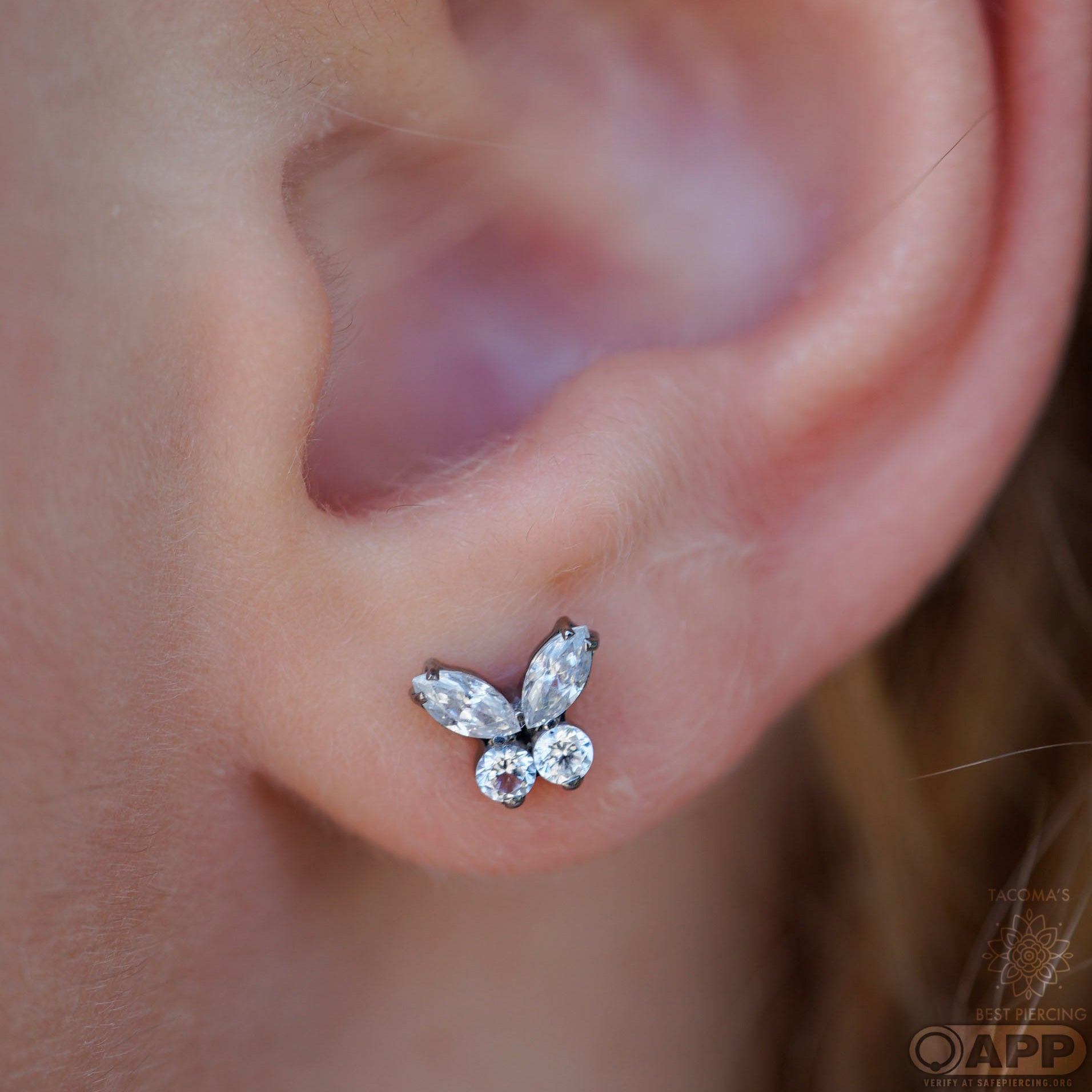 Appointment: Earlobes (0-9 months) – Tacoma's Best Piercing